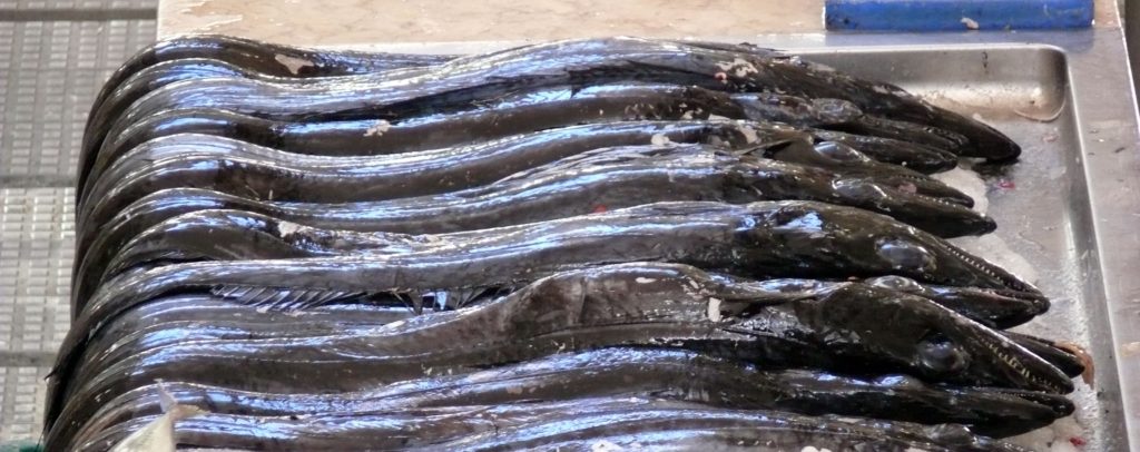 Fresh espada, Funchal fish market, Madeira - Madeira Wine and Dine